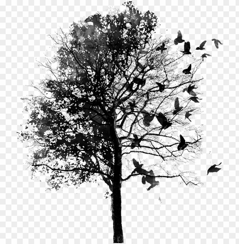Free download | HD PNG bird tree png fall instagram theme divider PNG ...