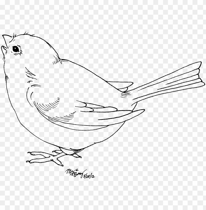 Free download | HD PNG bird white and black PNG transparent with Clear ...