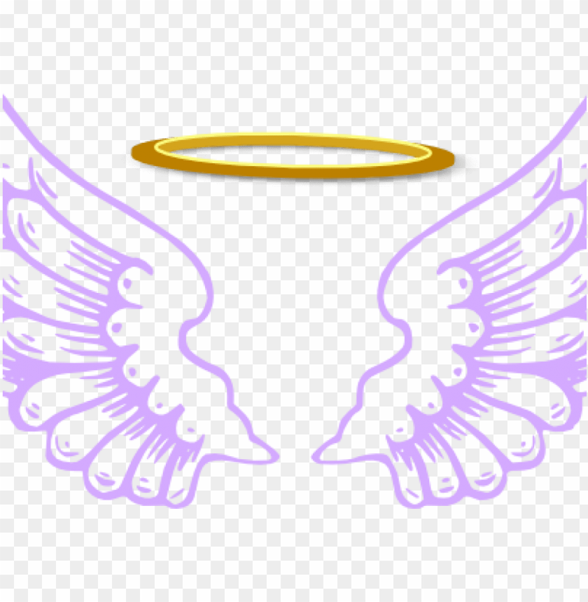 Free download | HD PNG bird wings PNG transparent with Clear Background ...