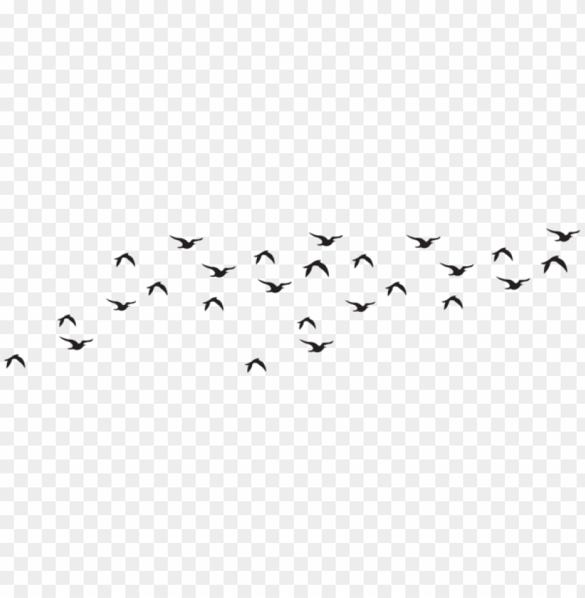 Free download | HD PNG Transparent birds flock silhouette PNG Image ...