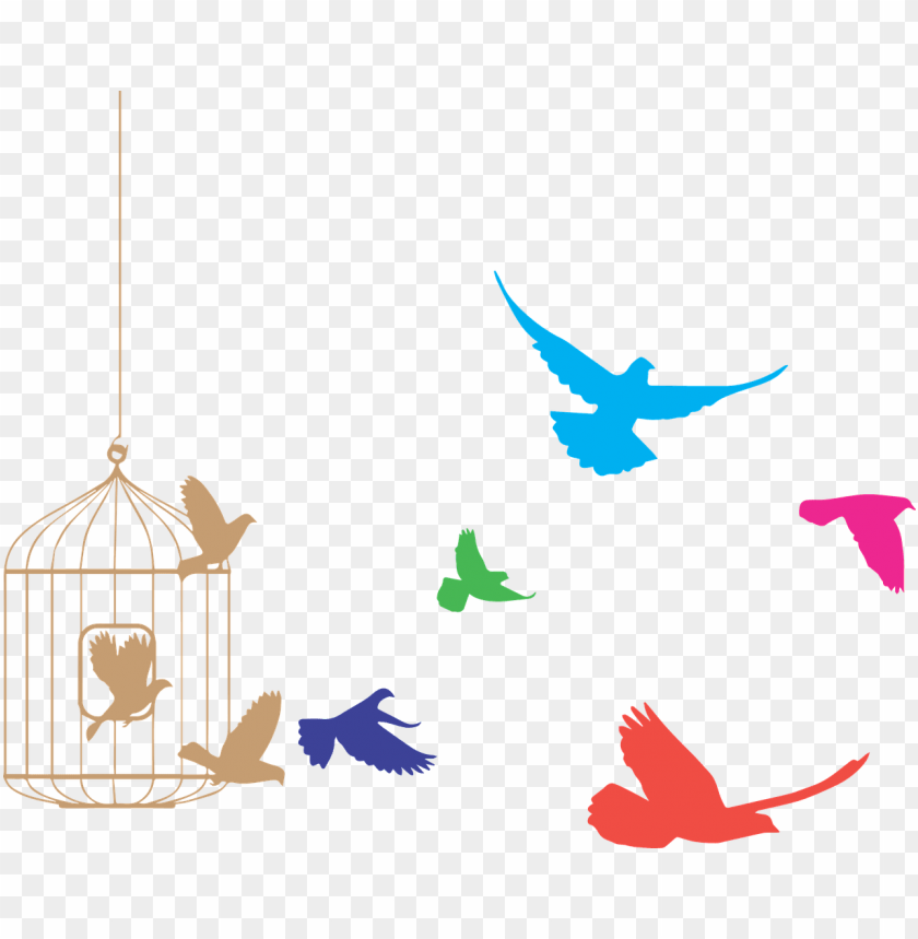 Free download | HD PNG birds flying from cage | TOPpng