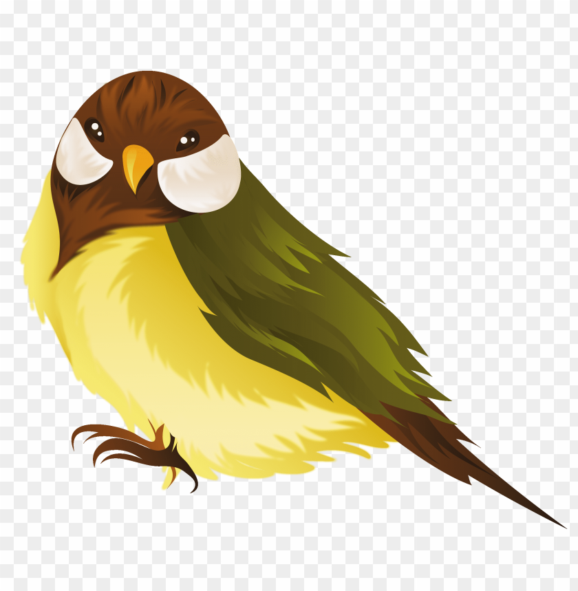 Free download | HD PNG birds free vector design png images background ...