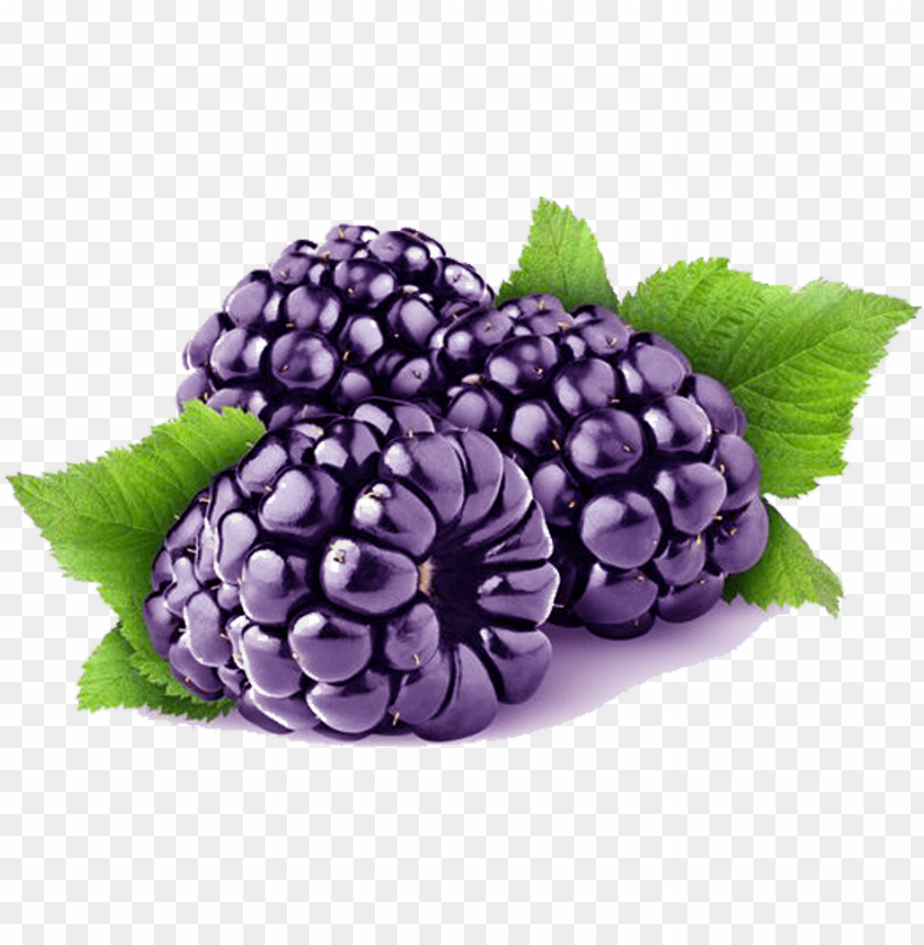Free download | HD PNG black berry fruit PNG transparent with Clear ...