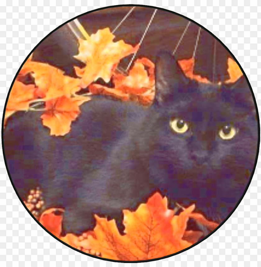 Free download | HD PNG black cat autumn PNG transparent with Clear ...