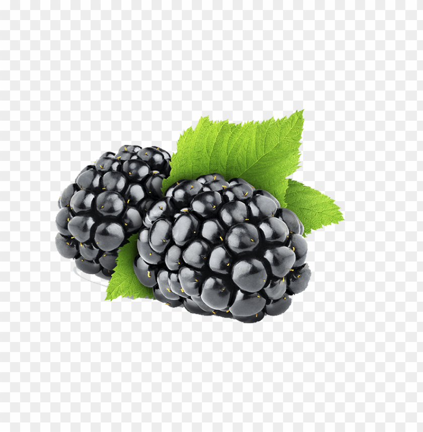 Free download | HD PNG blackberry PNG images with transparent ...