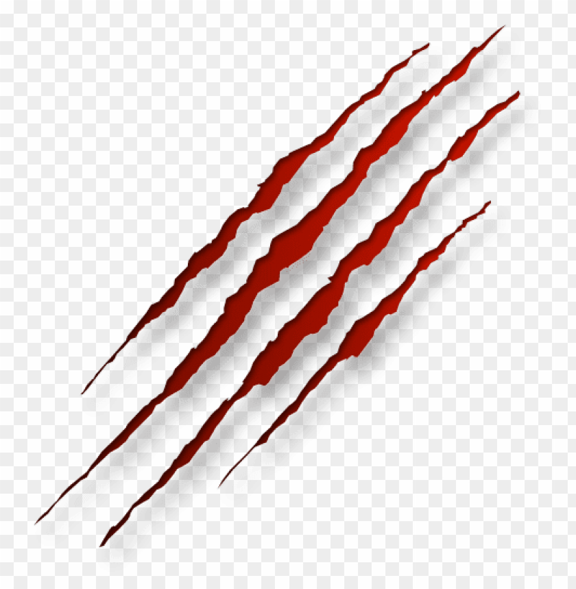 Free download | HD PNG bloody scratches transparent picture png images ...