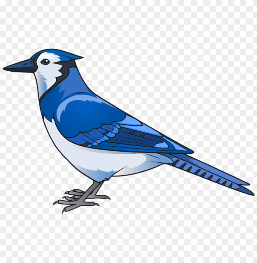 Free download | HD PNG blue bird transparent png images background ...
