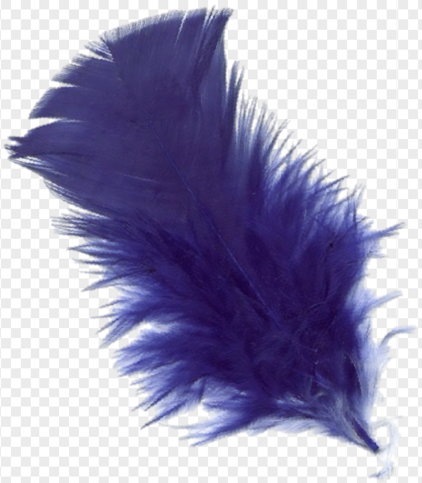 Free download | HD PNG blue feather with soft texture png | TOPpng