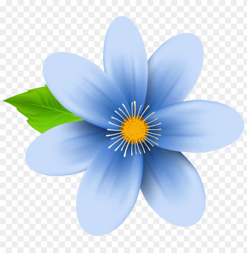 Free download | HD PNG PNG image of blue flower with a clear background ...