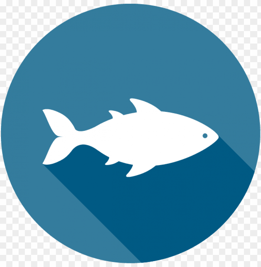 Free download | HD PNG blue icon of a fish seafood icon PNG transparent ...