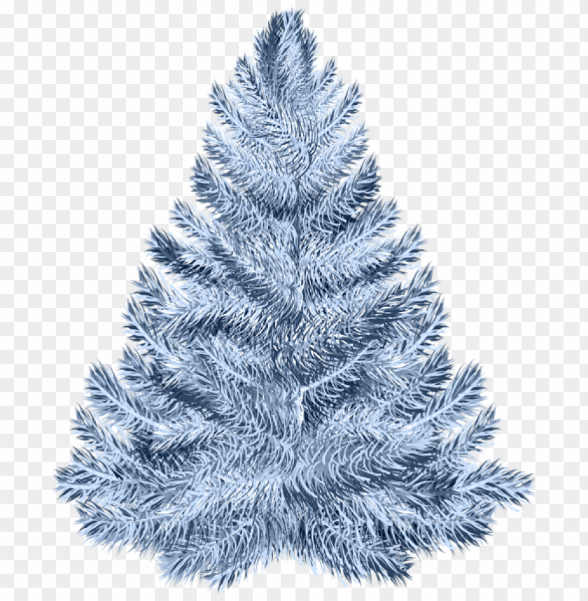 Free download | HD PNG blue pine tree PNG Images 39817 | TOPpng