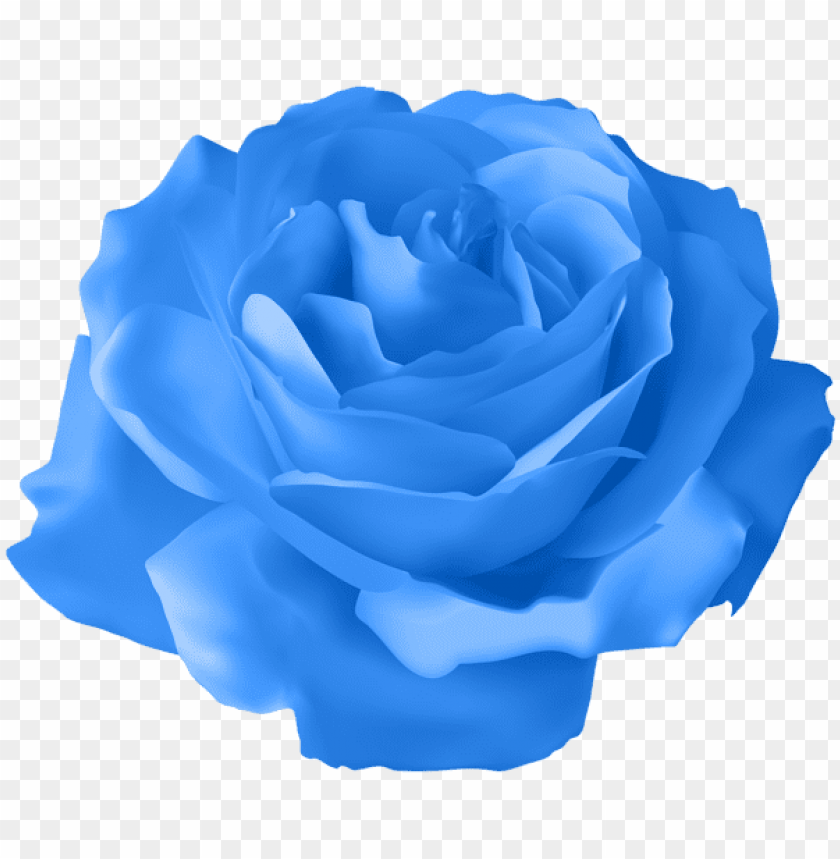 Free download | HD PNG PNG image of blue rose transparent with a clear ...