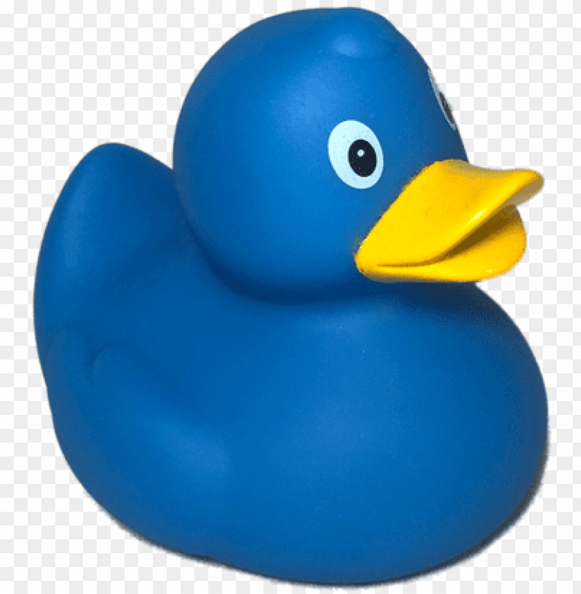 Free download | HD PNG blue rubber duck PNG transparent with Clear ...