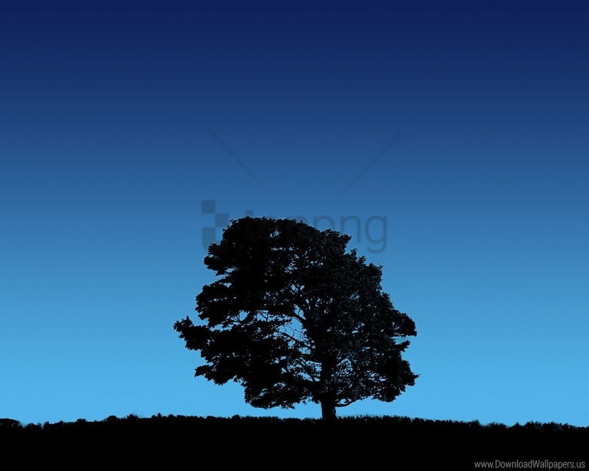 Free download | HD PNG blue tree wallpaper background best stock photos ...