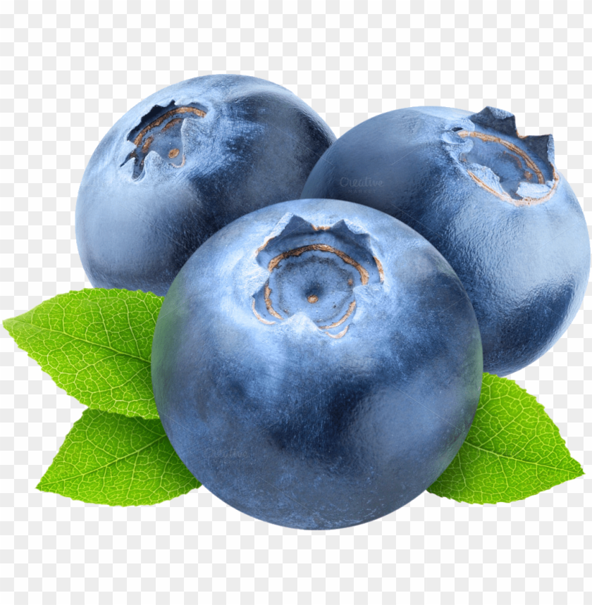 Free download | HD PNG blueberries PNG images with transparent ...