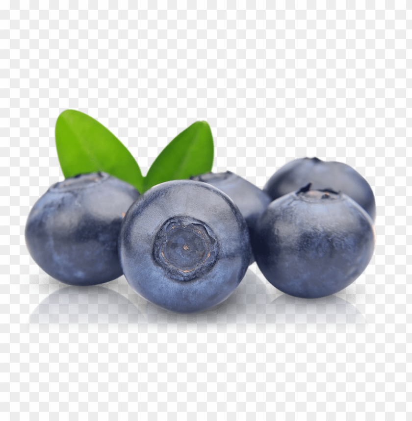 Free download | HD PNG large blueberries with leaves png PNG images ...