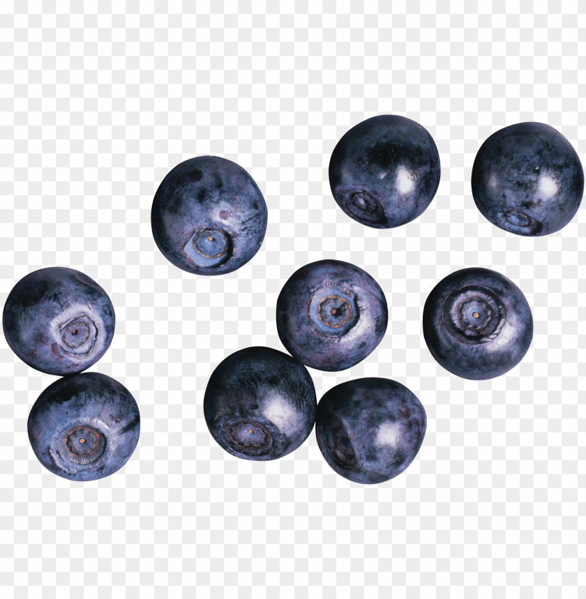Free download | HD PNG blueberries PNG images with transparent ...