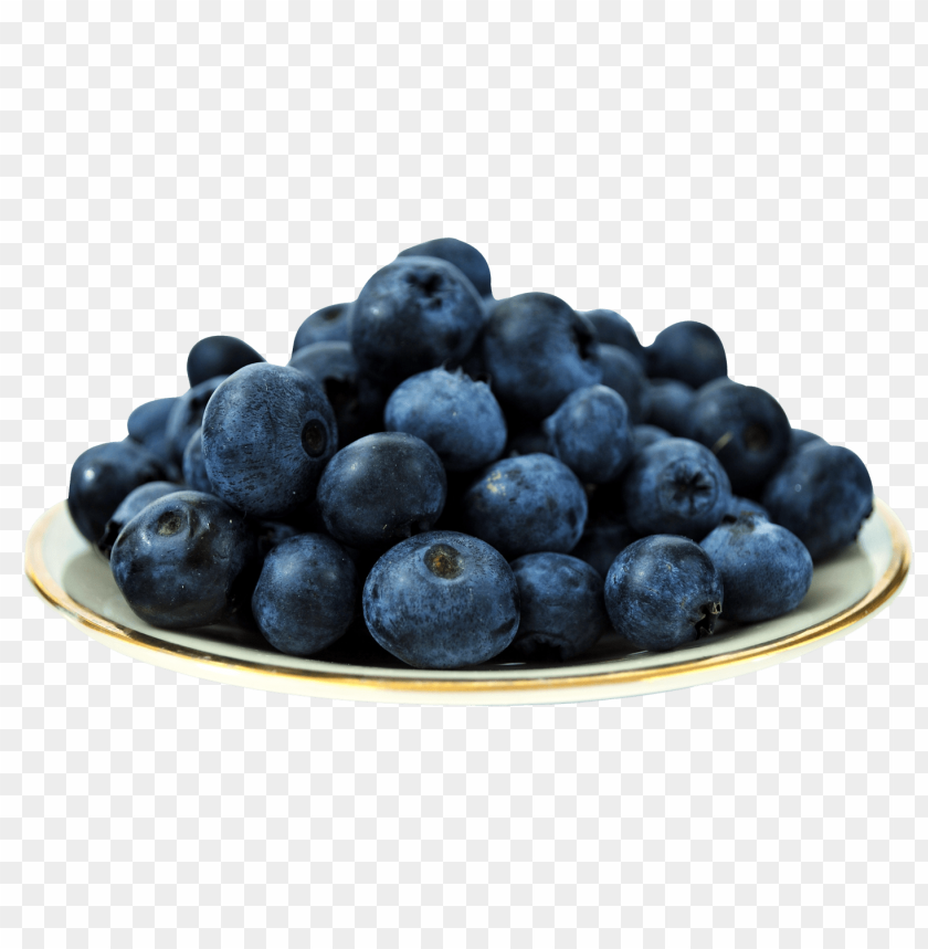 Free download | HD PNG blueberries PNG images with transparent ...