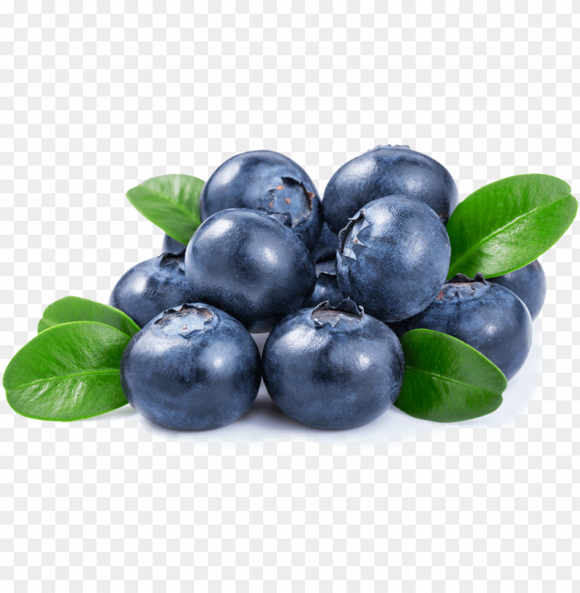 Free download | HD PNG blueberries PNG images with transparent ...