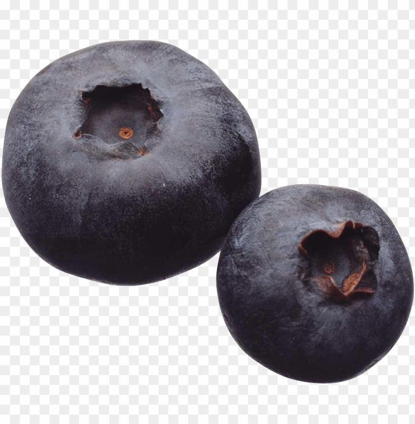 Free download | HD PNG blueberries PNG images with transparent ...