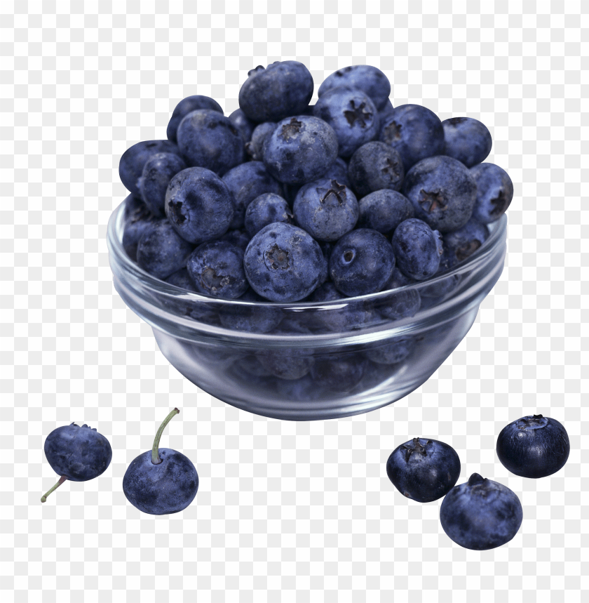 Free download | HD PNG blueberries PNG images with transparent ...