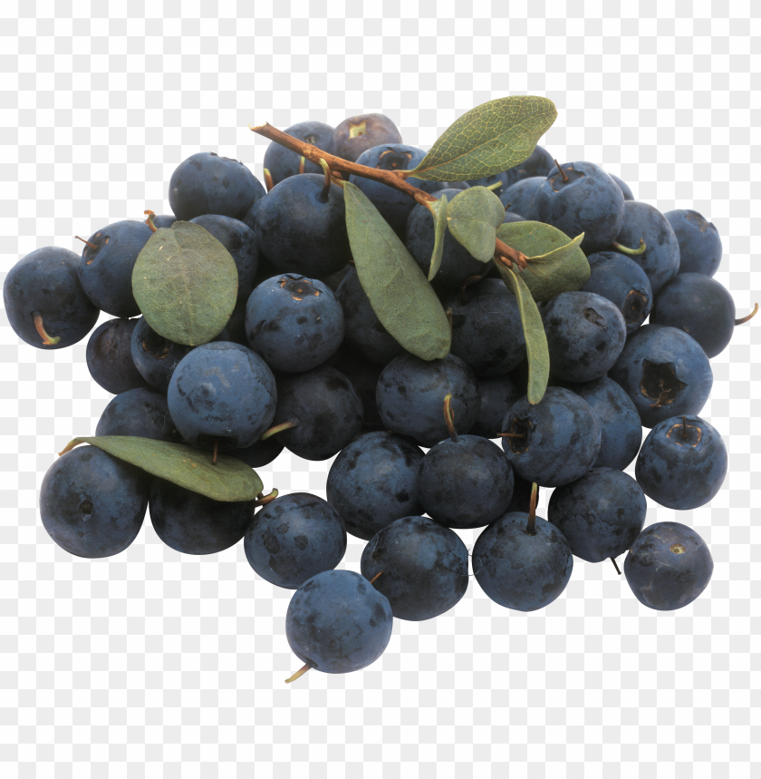 Free download | HD PNG blueberries PNG images with transparent ...