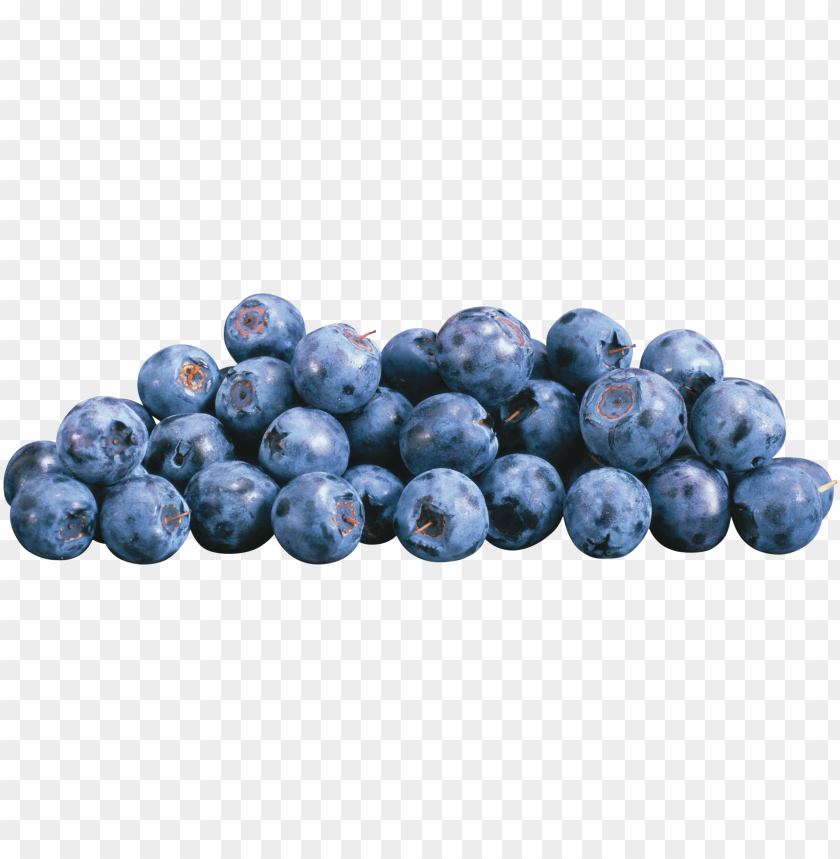 Free download | HD PNG blueberries PNG images with transparent ...