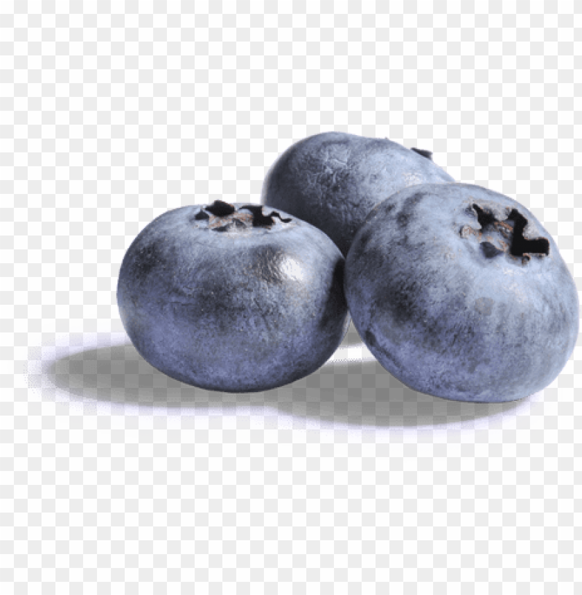 Free download | HD PNG blueberries png clipart blueberries with no ...