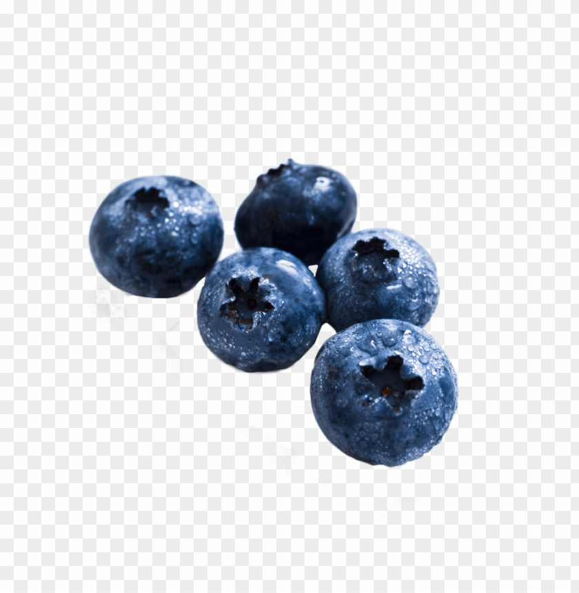 Free download | HD PNG blueberry PNG images with transparent ...