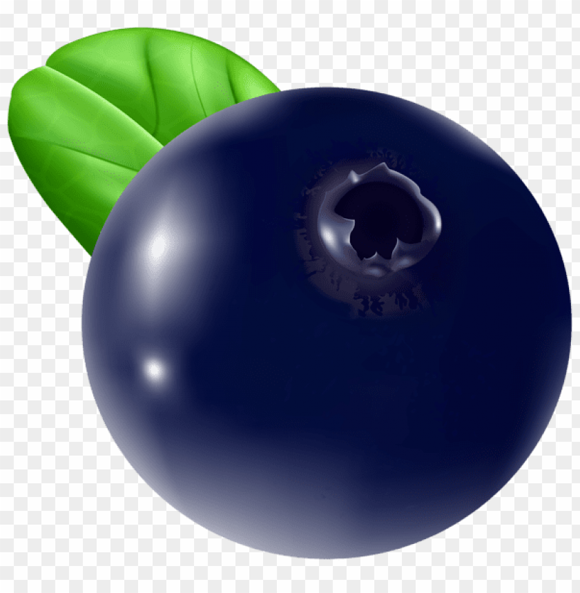 Free download | HD PNG realistic blueberry with dark surface | TOPpng