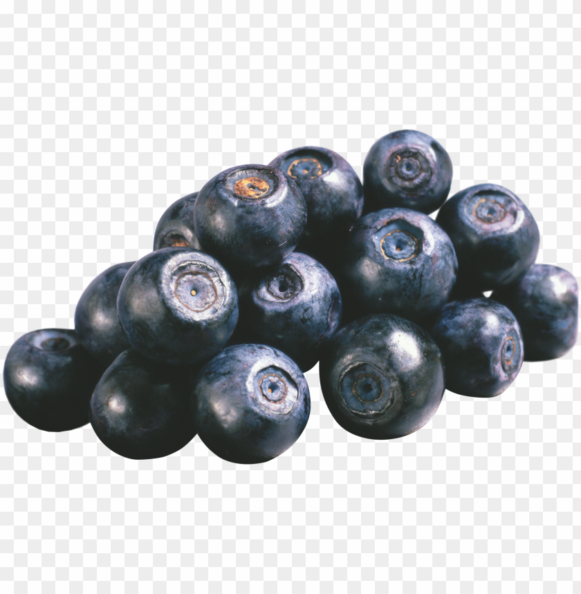 Free download | HD PNG blueberrys PNG images with transparent ...