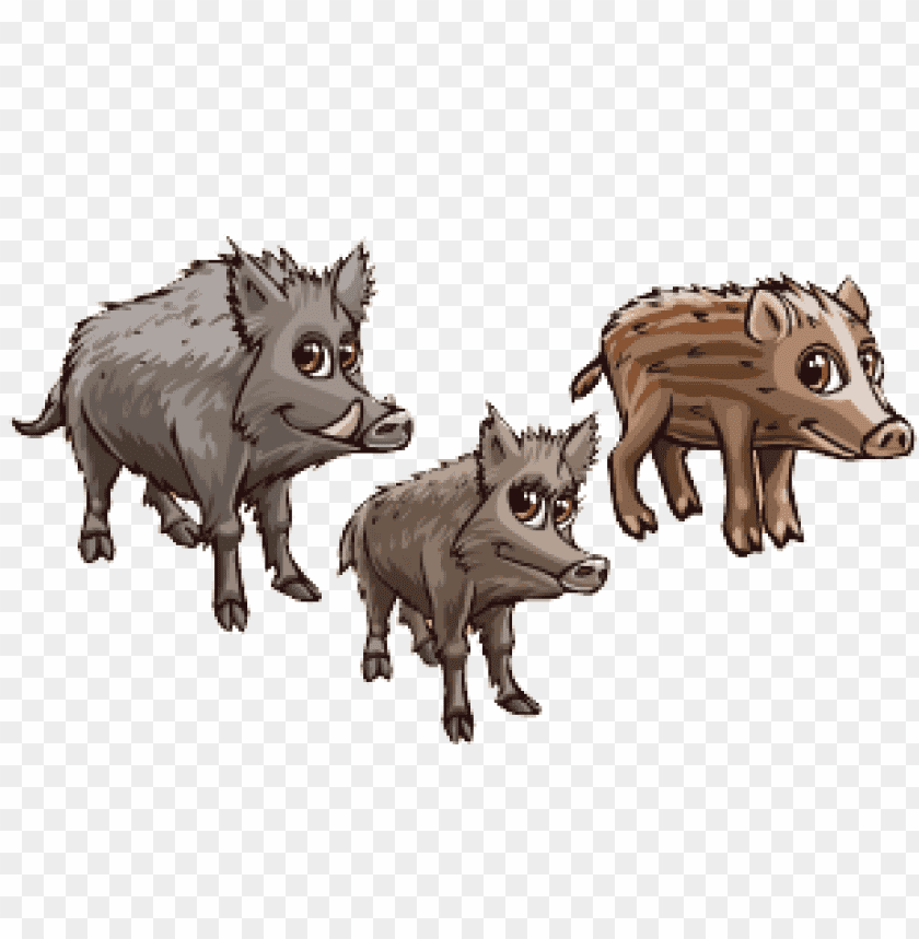 Free download | HD PNG wild boar fighting png | TOPpng
