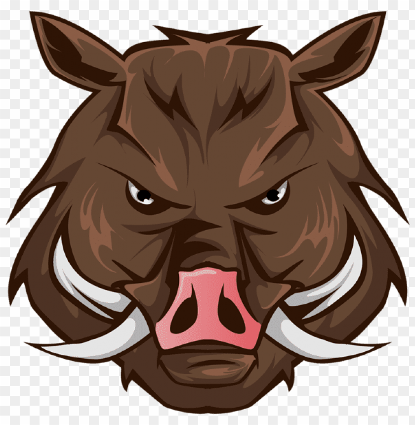 Free download | HD PNG boar head | TOPpng