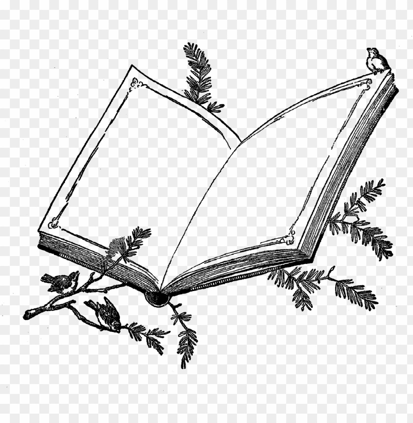 Free download | HD PNG book frame design PNG transparent with Clear ...