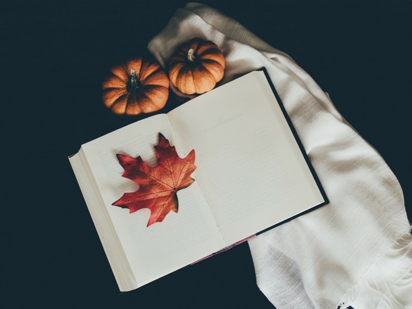 Free download | HD PNG book leaf pumpkin scarf autumn 4k wallpaper | TOPpng