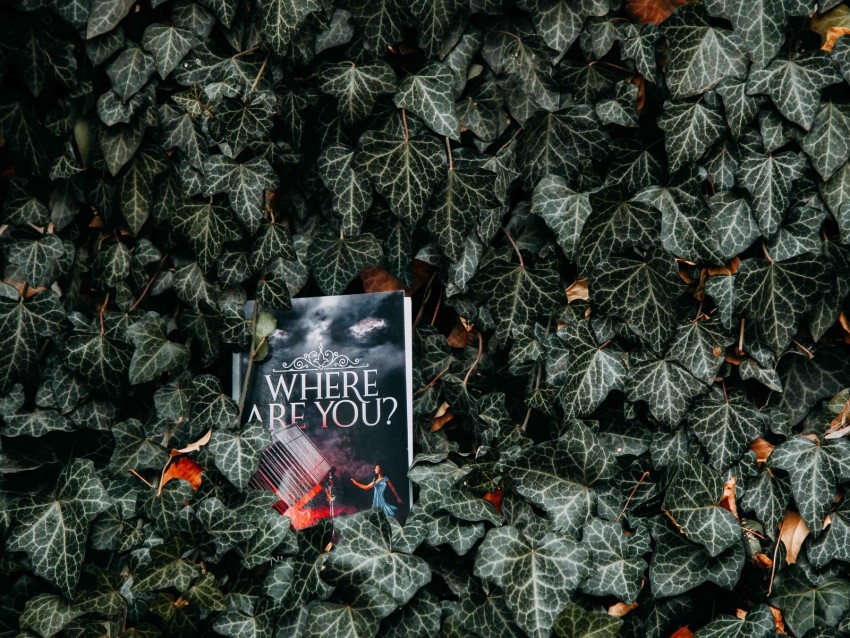 Book Leaves Reading Inscription Bushes cutout PNG & clipart images | TOPpng