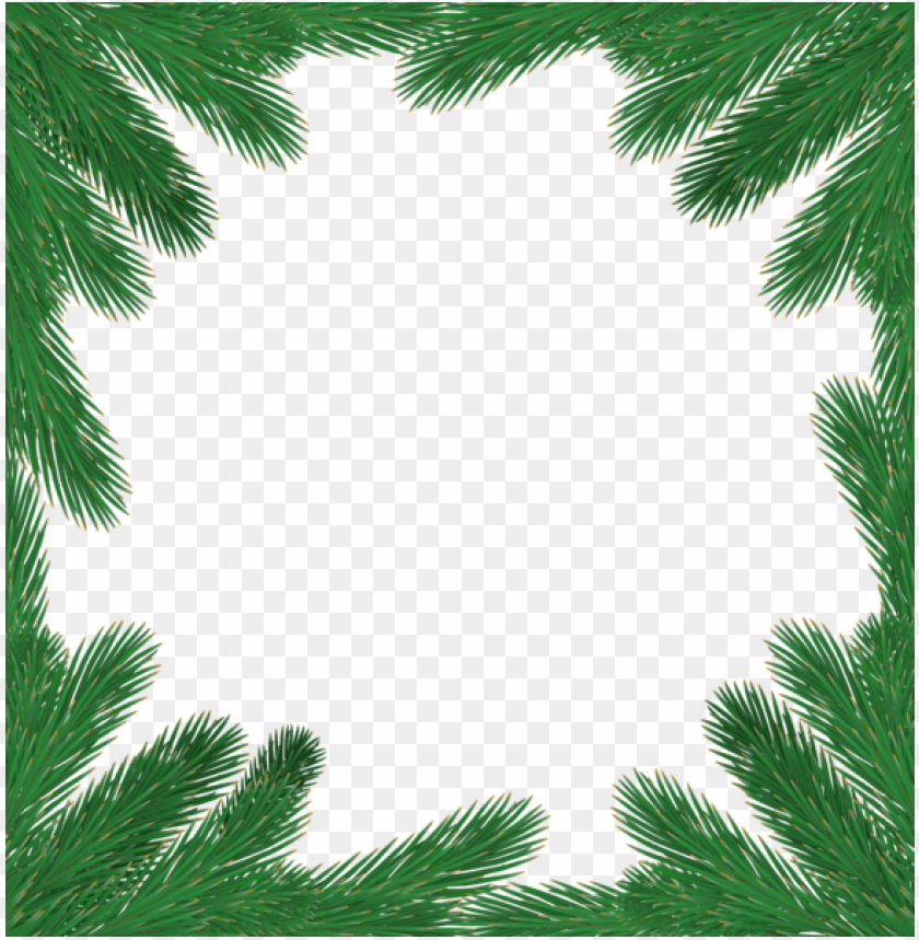Free download | HD PNG border frame of pine branches png PNG Images ...