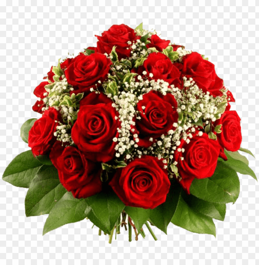 Free download | HD PNG bouquet vector flower bokeh buque de rosa em PNG ...