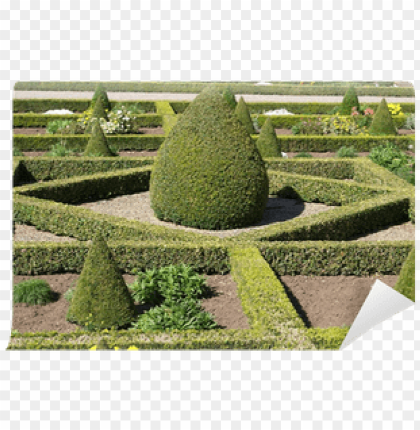 Free download | HD PNG box hedges hedge PNG transparent with Clear ...