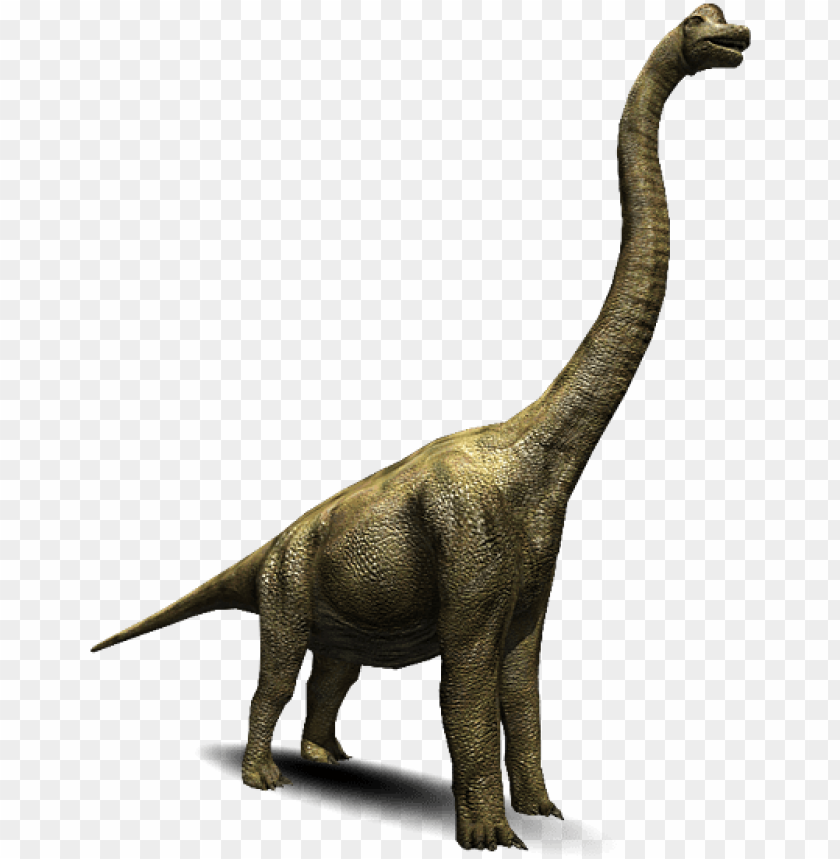Free download | HD PNG brachiosaurus brachiosauro PNG transparent with ...