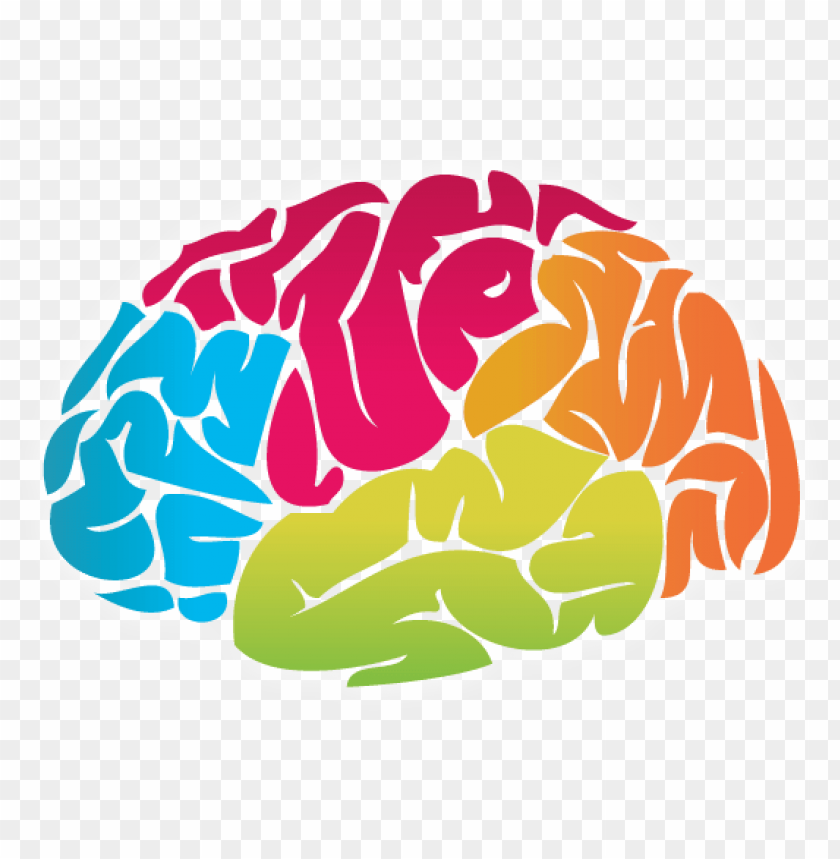 Free download | HD PNG brain colour drawing PNG transparent with Clear ...