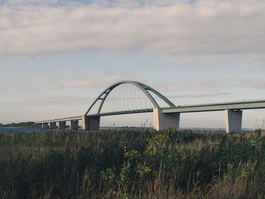 Free download | HD PNG bridge coast river reed bushes 4k wallpaper | TOPpng