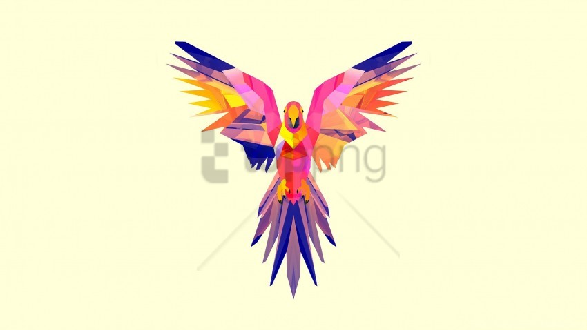 Free download | HD PNG bright color drawing parrot vector wallpaper ...