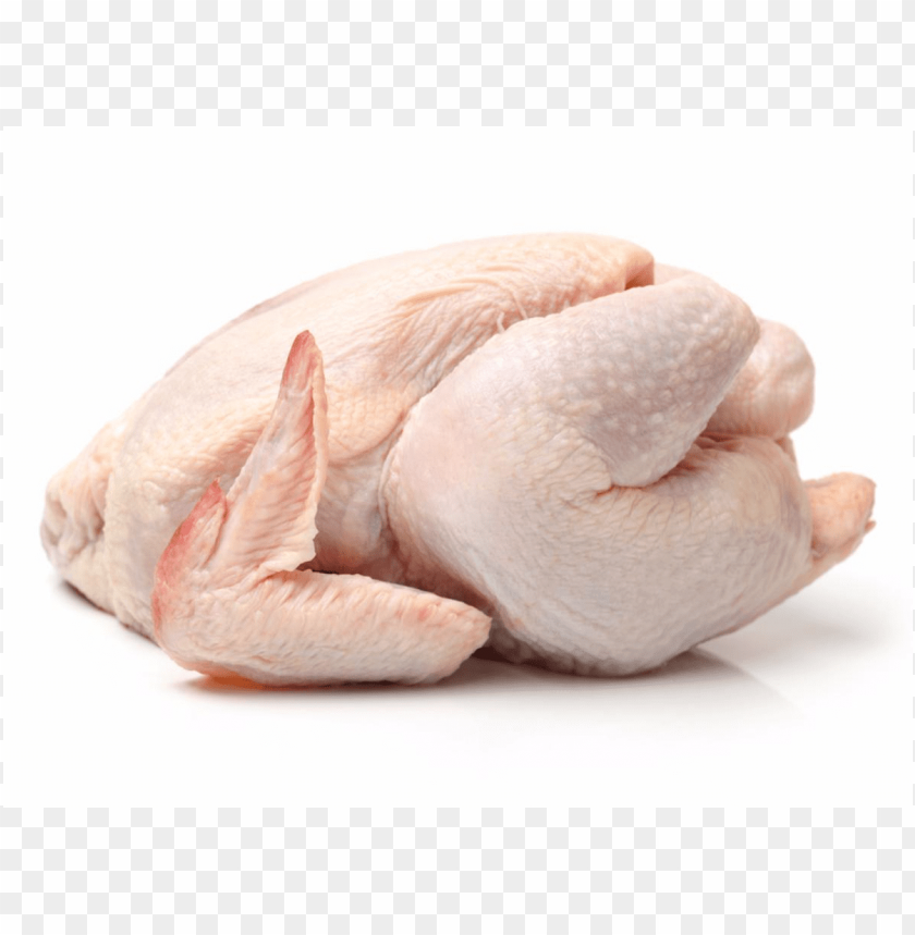Free download | HD PNG broiler chicken meat PNG transparent with Clear ...