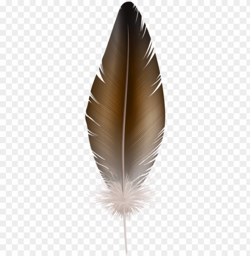 Free download | HD PNG brown feather clipart png photo - 45423 | TOPpng