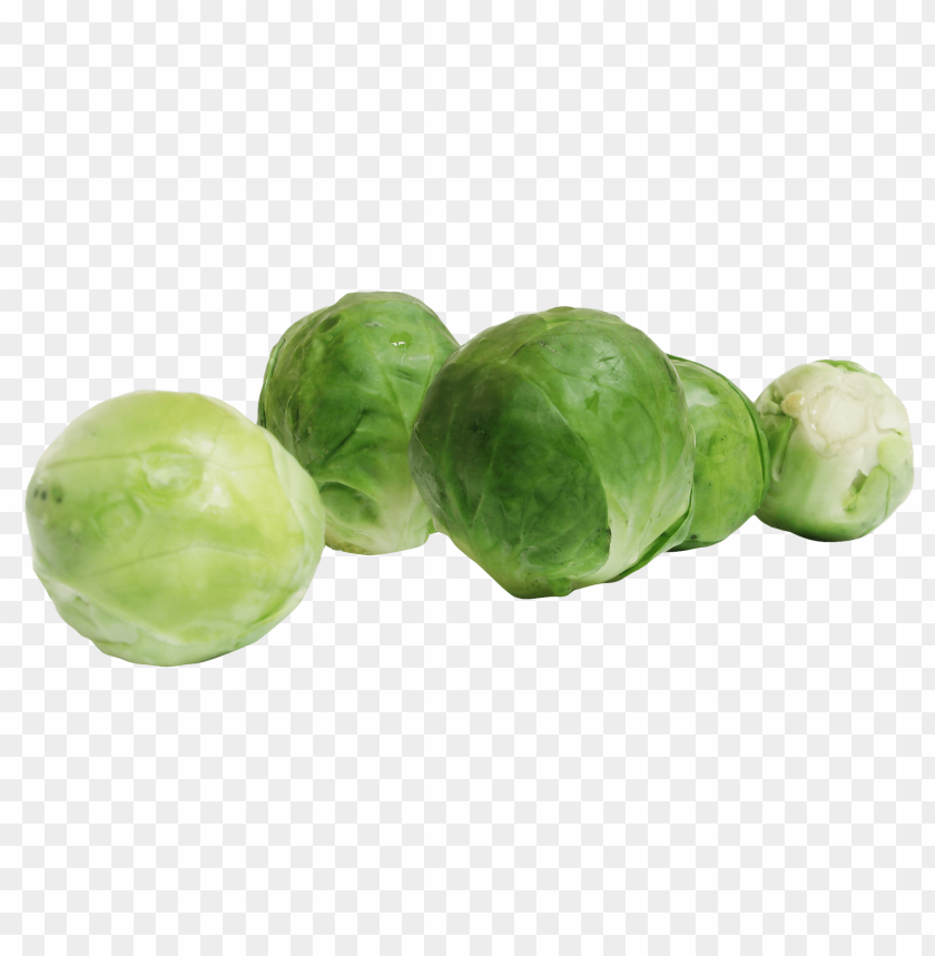 Free download | HD PNG brussels sprouts PNG images with transparent ...