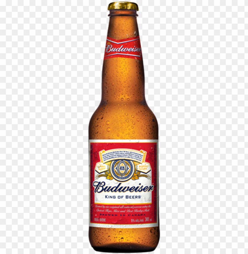 Free download | HD PNG budweiser bottle png budweiser beer bottle PNG ...