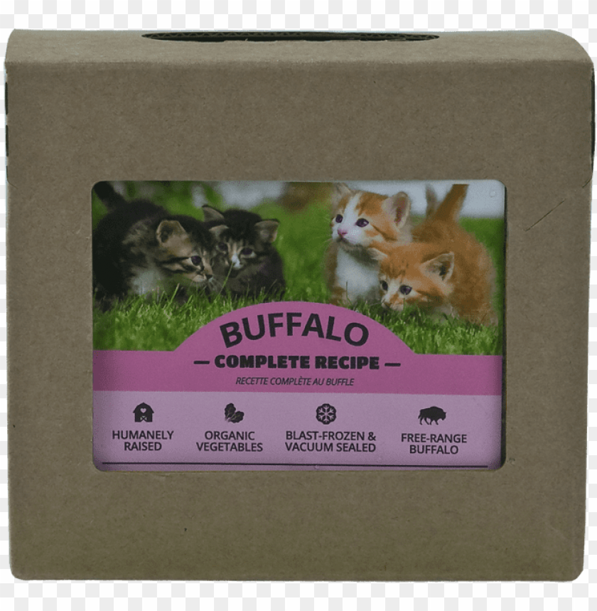 Free download | HD PNG buffalo complete for cats chinchilla PNG ...