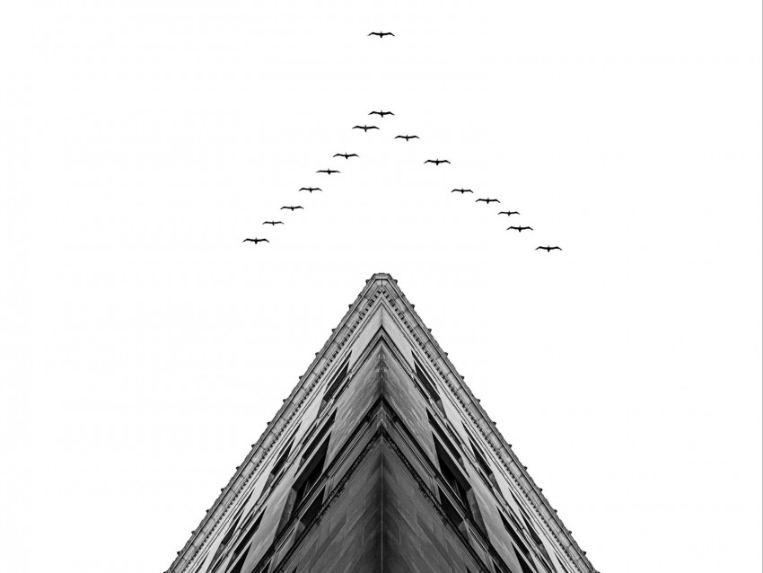 Free download | HD PNG building birds bw minimalism architecture facade ...