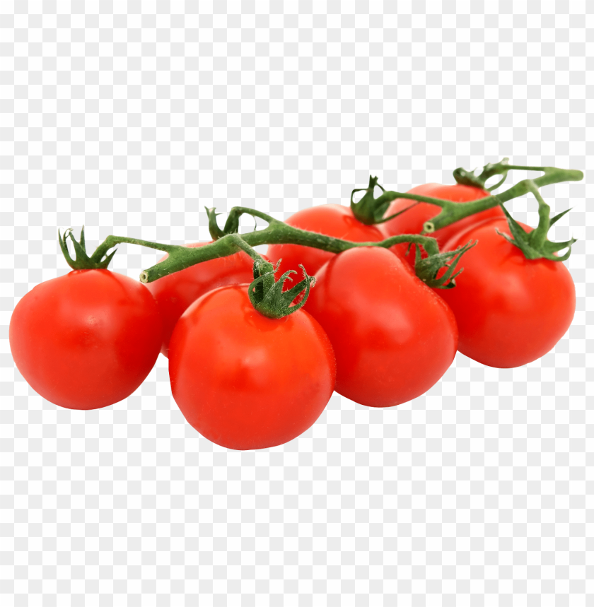 Free download | HD PNG bunch of fresh tomatoes PNG images with ...
